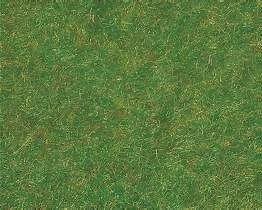 Grass Fibre 35g (Dark Green)– Hobbyco Imports