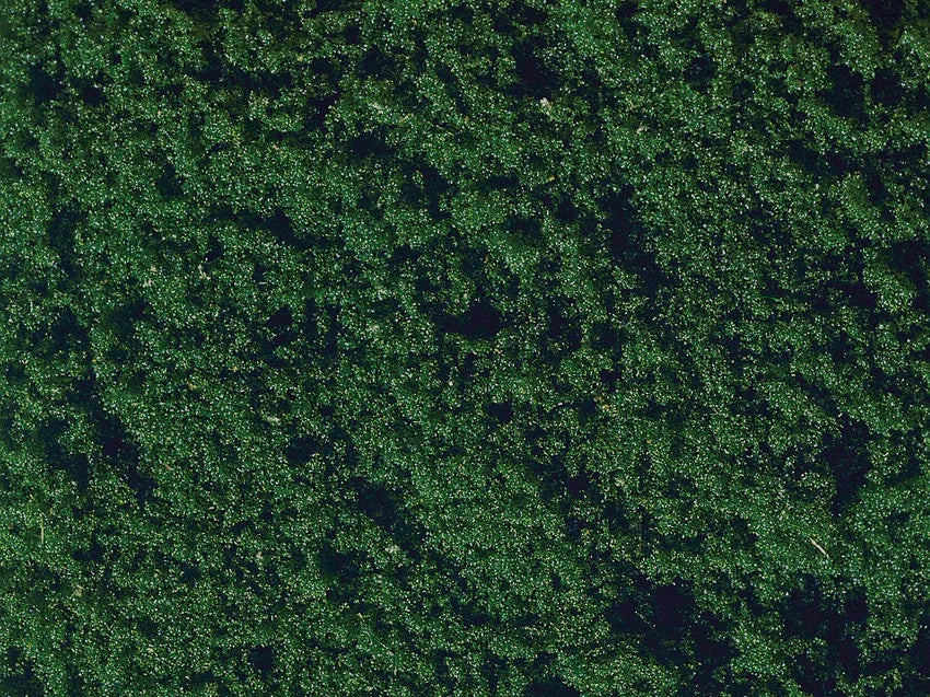 Fine Flock - Dark Green– Hobbyco Imports
